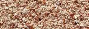 The Pink Sand Phenomenon of Bermuda - Sail Bermuda
