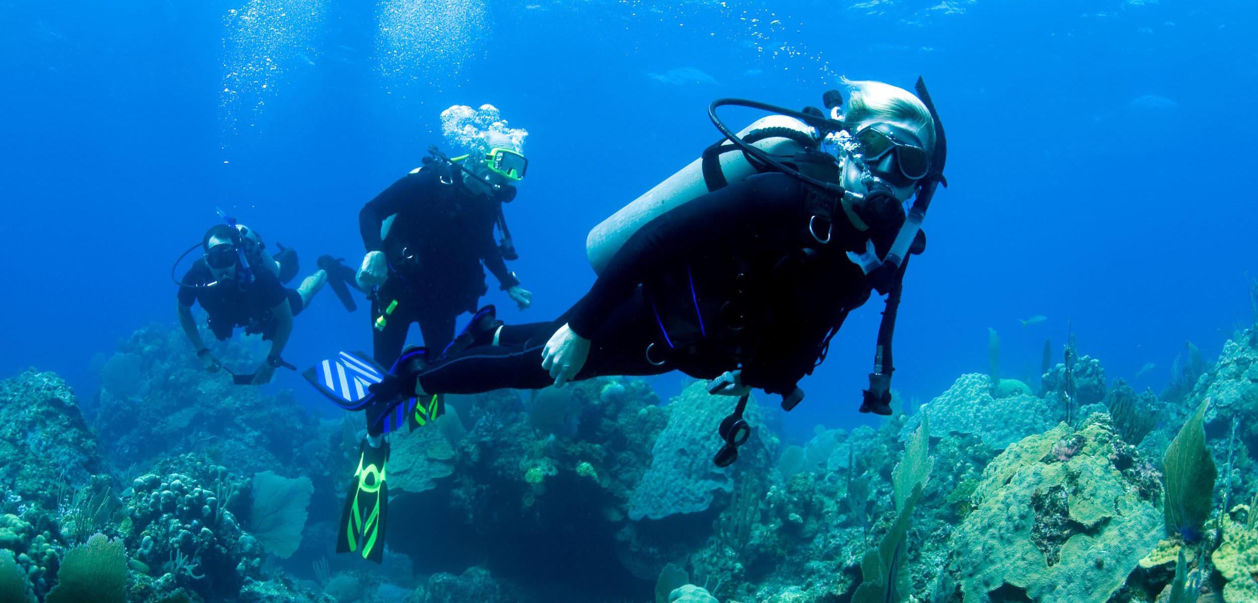 Bermuda Travel Partners